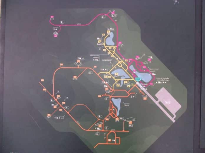 o que fazer em Inhotim, o maior museu a céu aberto